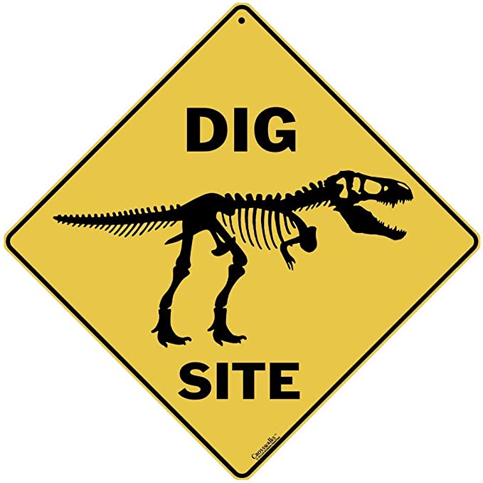 Jurassic Dig | Woodridge Public Library
